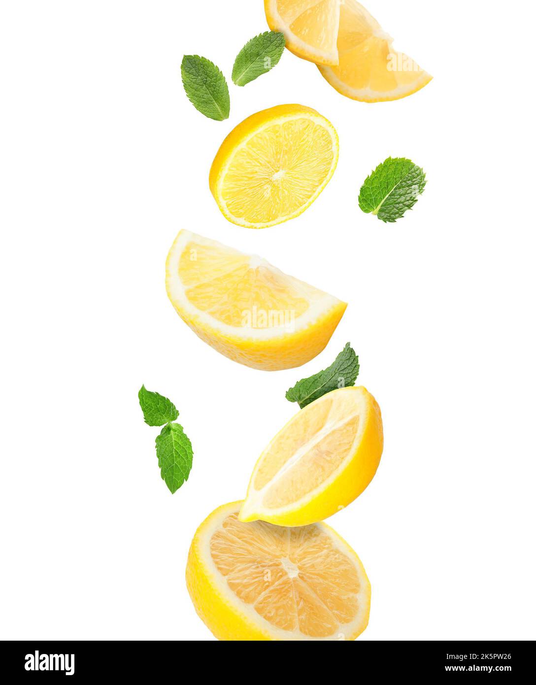 Fresh flying lemon slices and mint leaves isolated on white Stock Photo ...