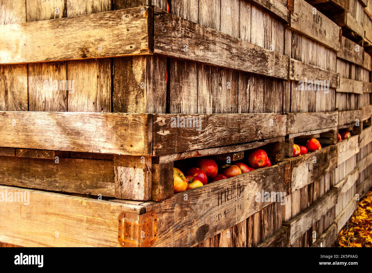 Apple Cider Press Stock Photo - Alamy