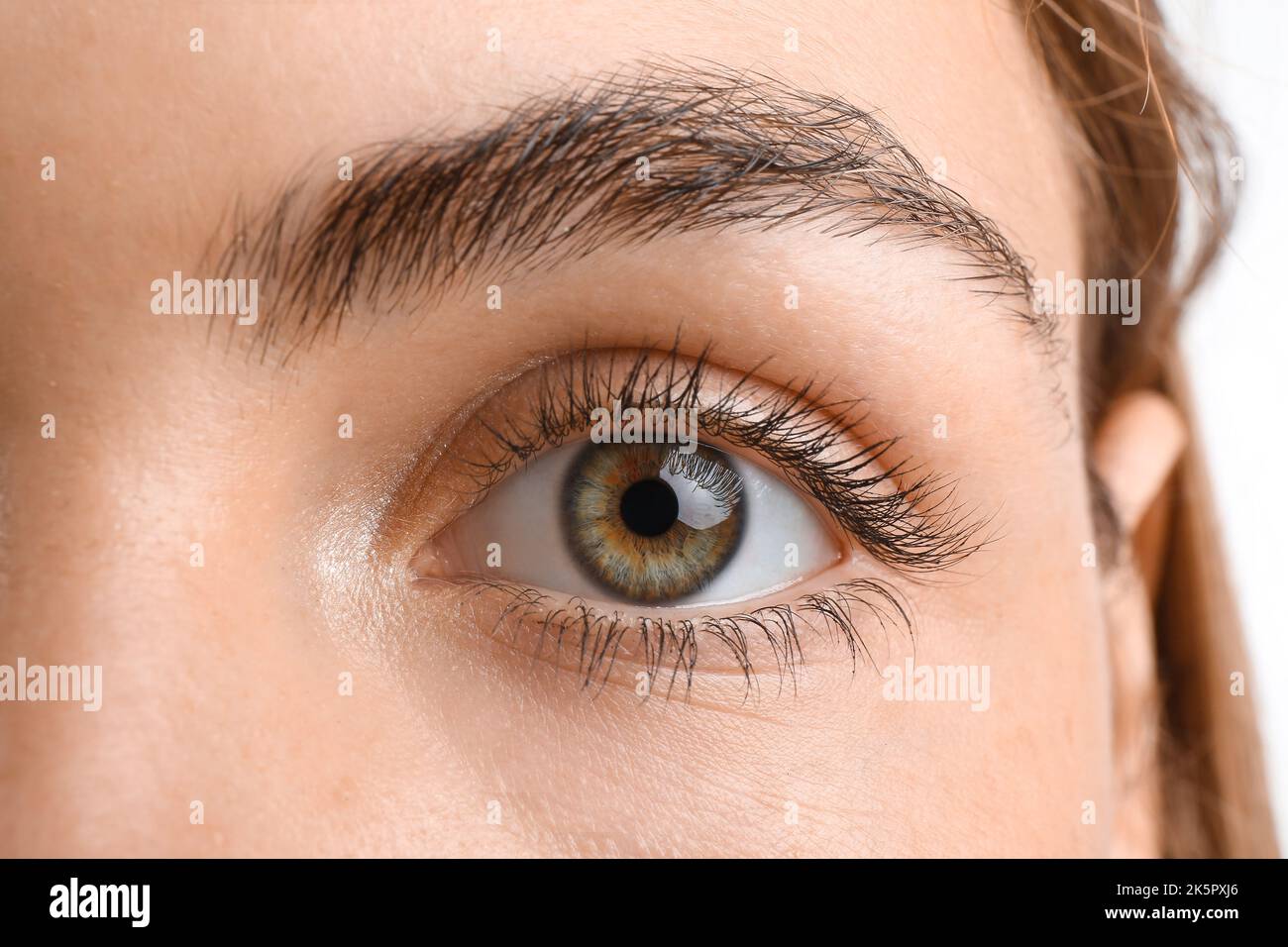 Young woman with beautiful hazel eyes on white background, closeup ...