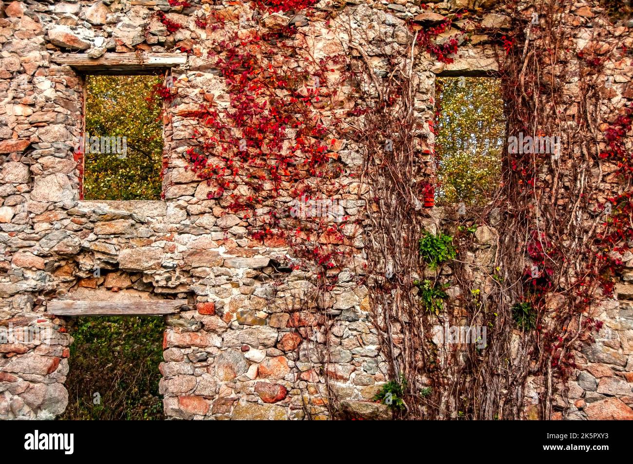 Cartoon background medieval castle hi-res stock photography and images ...