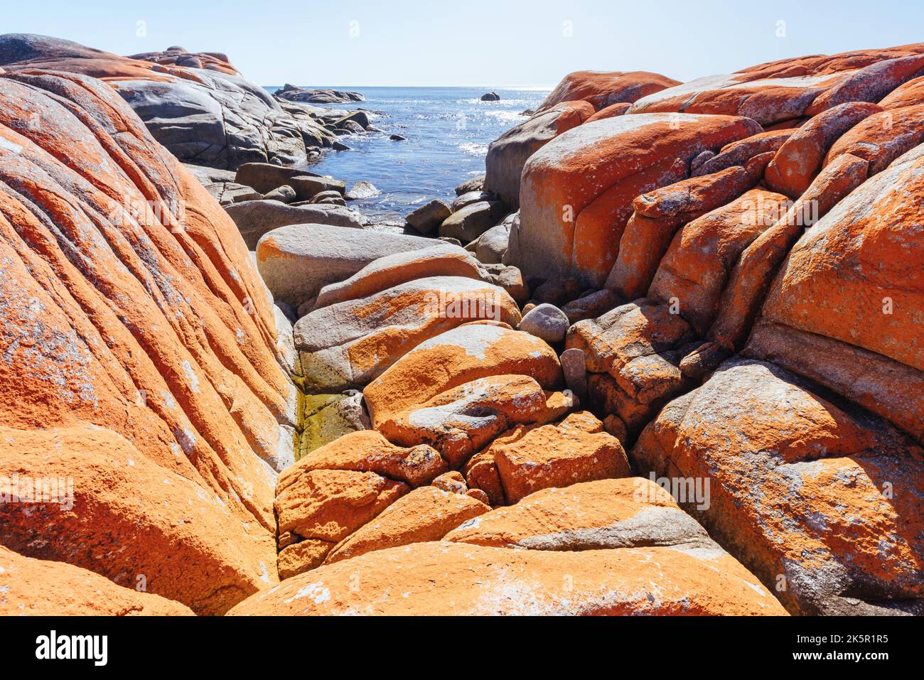 Skeleton Bay Walk in Tasmania Australia Stock Photo - Alamy