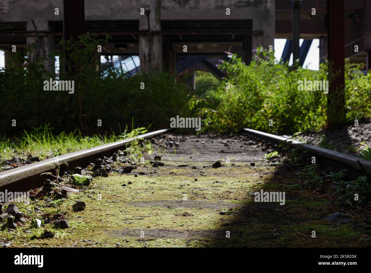 Low angle and selective focus view at abandon track railway at Zeche ...