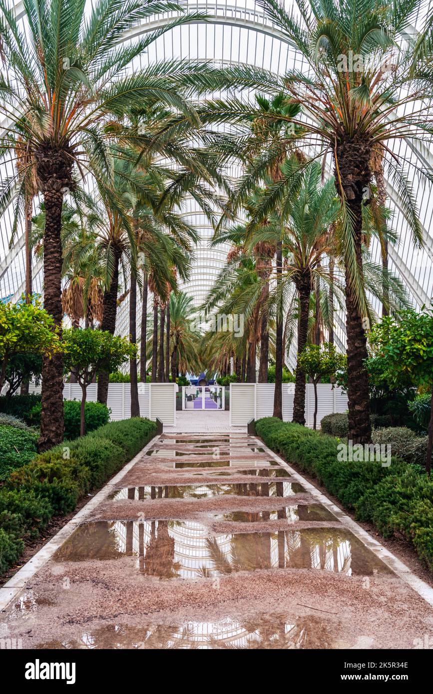 Umbracle gardens hi-res stock photography and images - Alamy