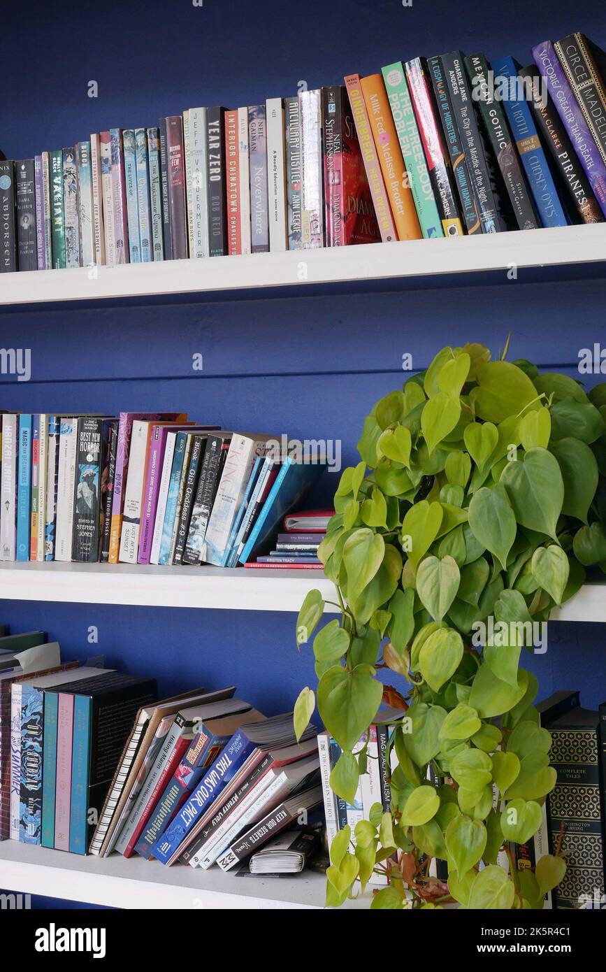 A collection of books, mostly paperbacks science fiction, fantasy, and ...