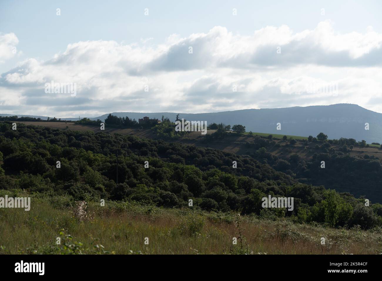 Stop motion cheese pieces hi-res stock photography and images - Alamy