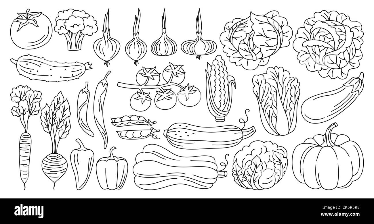 Vegetables drawn doodle linear style set. Healthy diet food farm ...