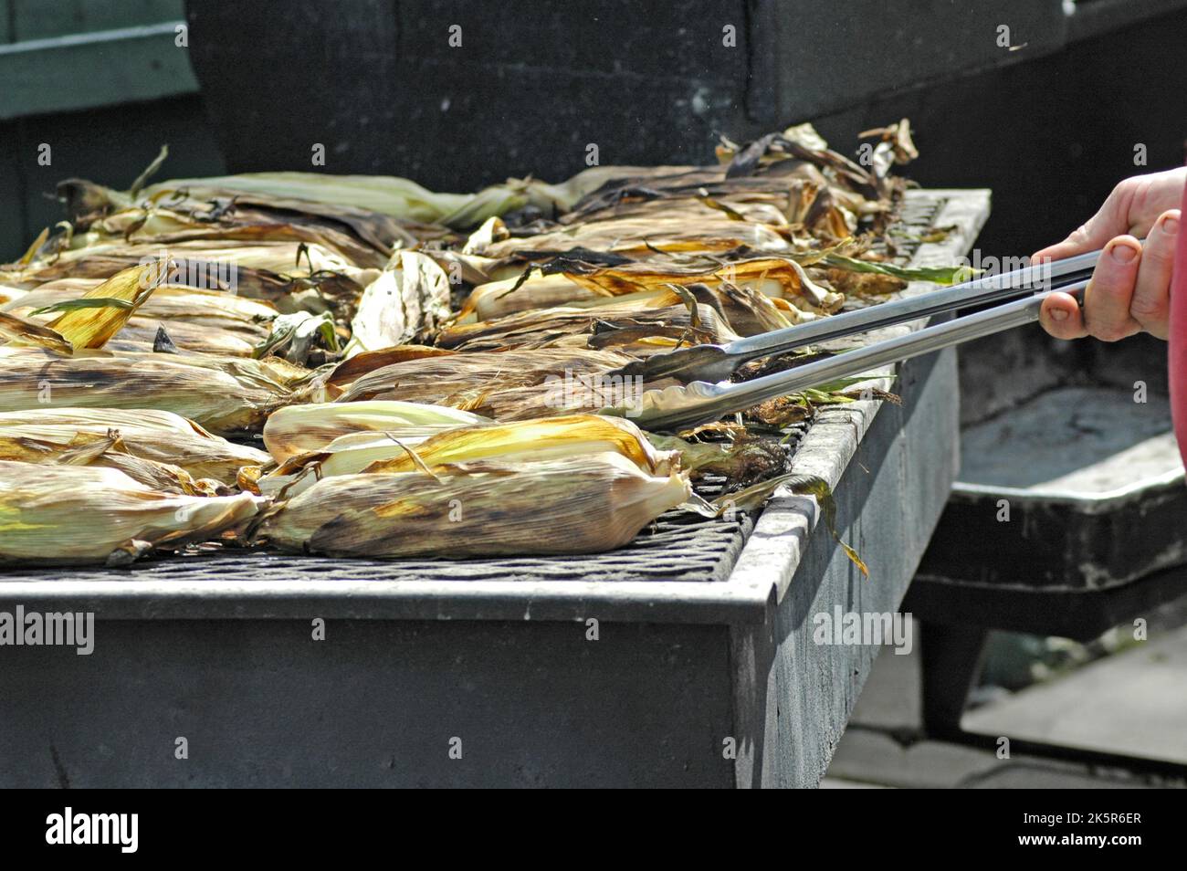 Corn grilling on open pit bar b q at fair in husks for eating Stock ...
