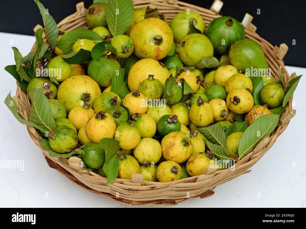Many whole ripe guava fruits harvest in basket in vietnam Stock Photo ...