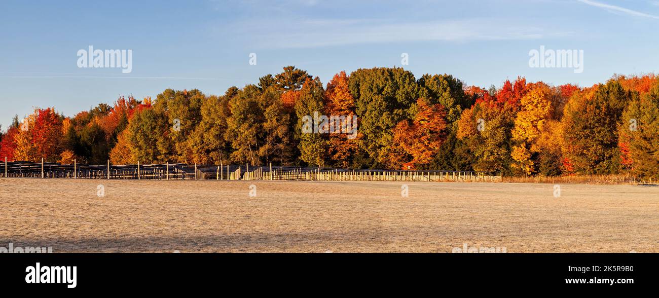 Colorful Wisconsin forest next to ginseng farmland, panorama Stock ...