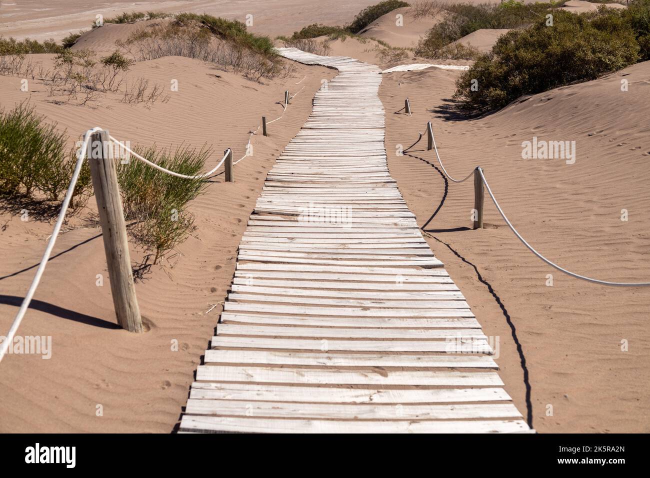 Winding path of wooden boards to the beach. Corridor for pedestrians ...