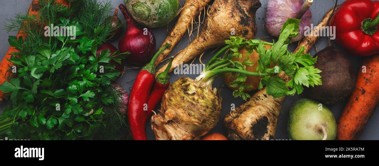 Autumn food background with vegetables, root crops: celery, radish ...