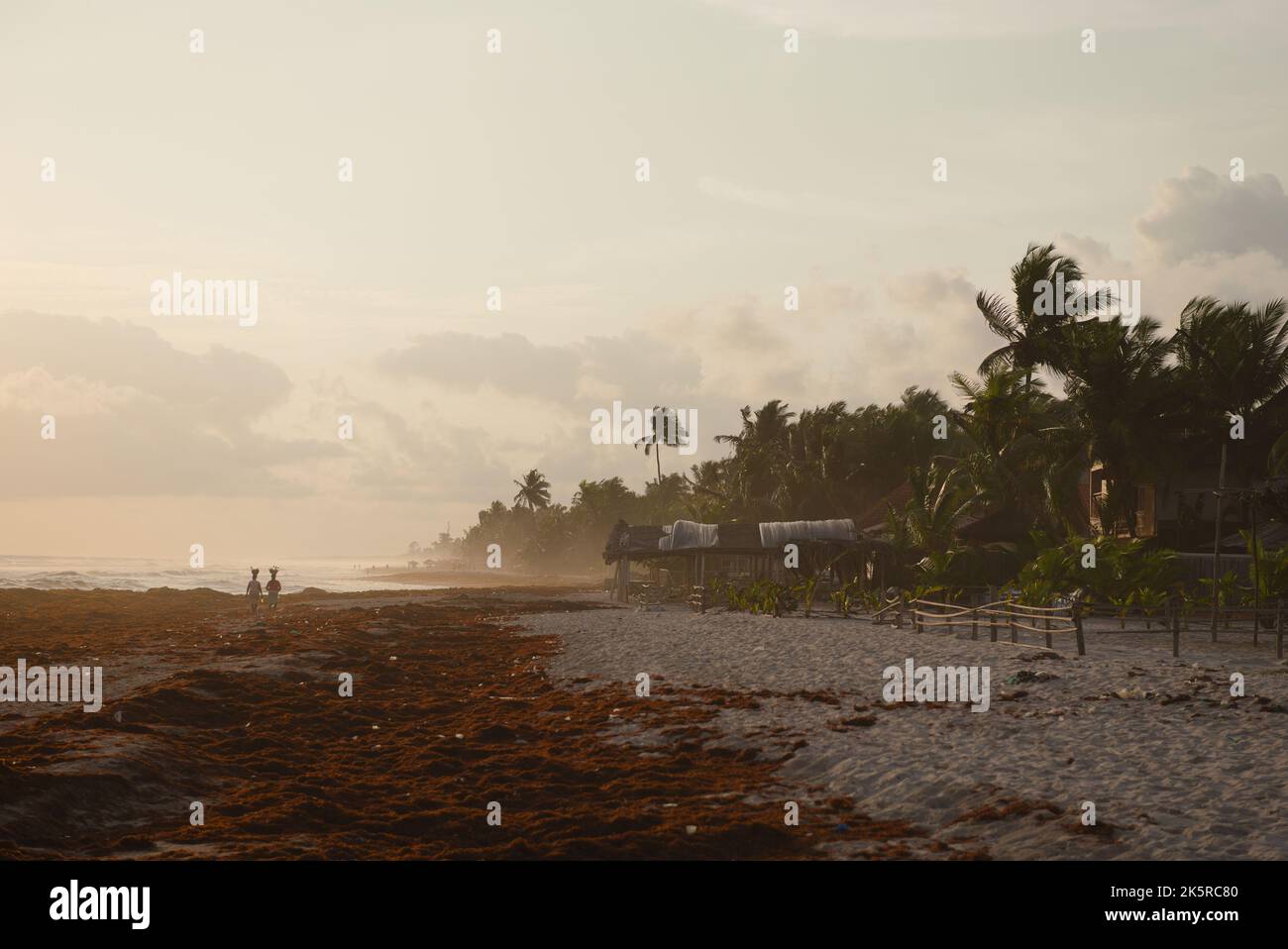Two palm trees on sunset hi-res stock photography and images - Alamy