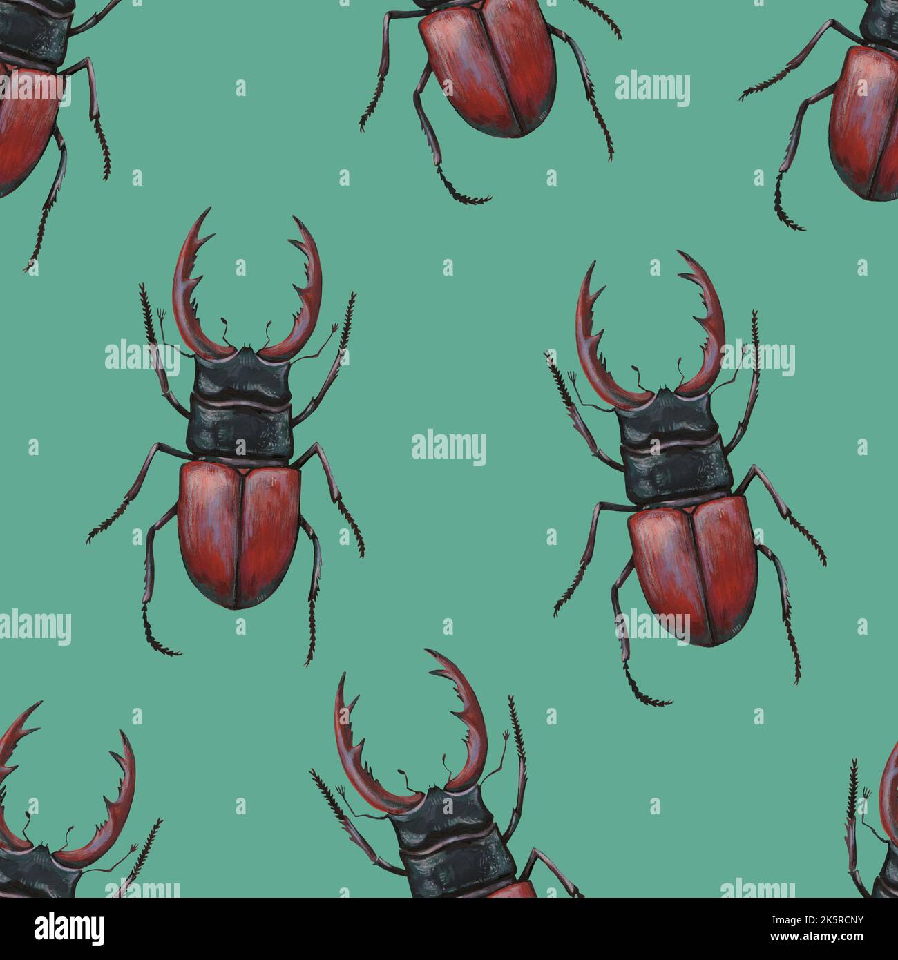 Seamless pattern with realistic stag beetles, lucanus cervus Stock ...