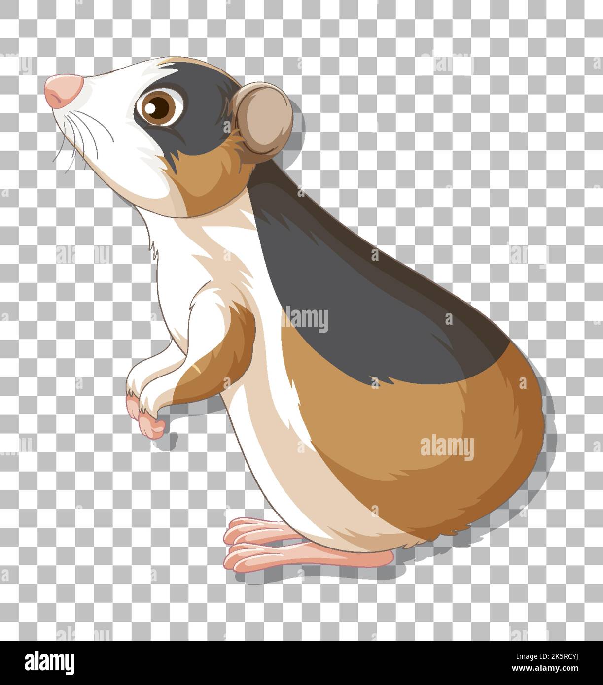 Hamster in cartoon style illustration Stock Vector Image & Art - Alamy