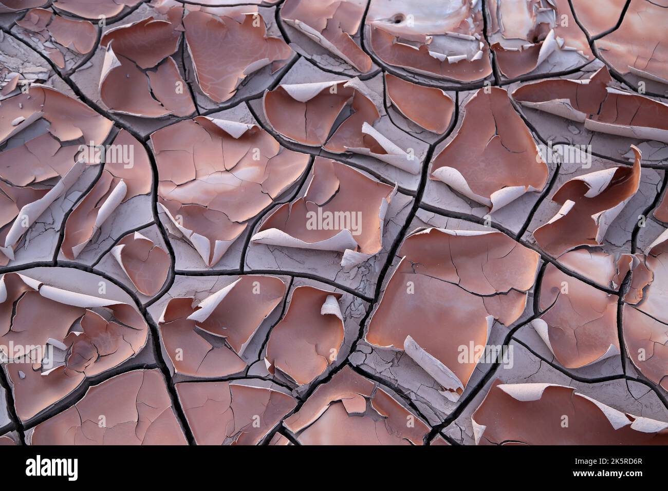 Dry clay ground Stock Photo - Alamy