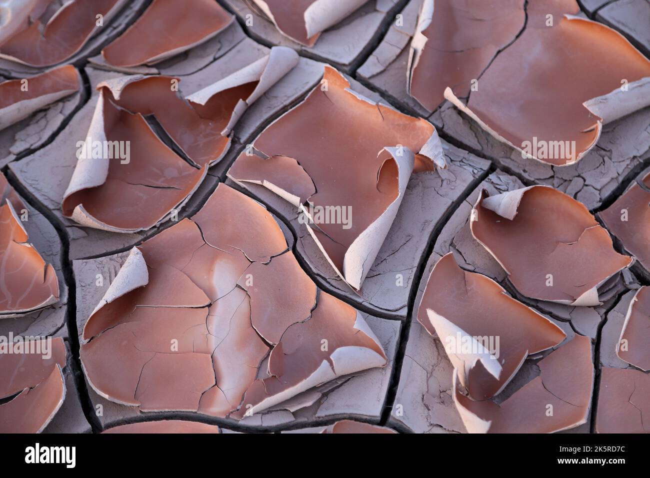 Cracked clay close up Stock Photo - Alamy