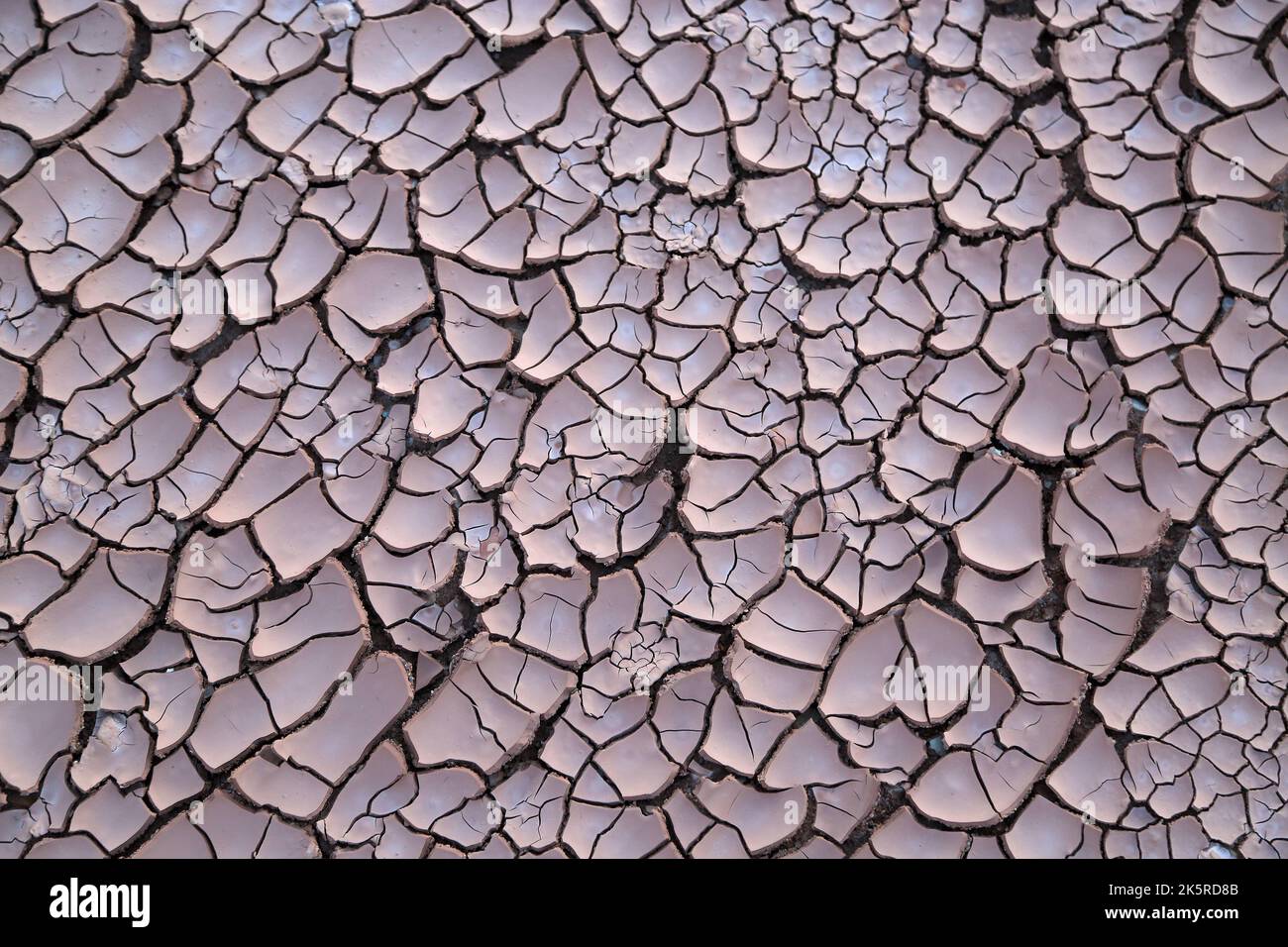 Texture of dry clay Stock Photo - Alamy