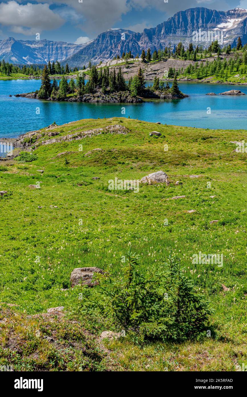 Rock Isle Lake in the Sunshine Meadows of Sunshine Village, Alberta ...