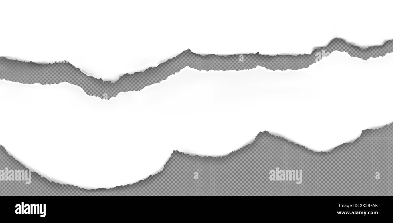 White ripped paper strips, realistic scraps with torn ragged edges ...