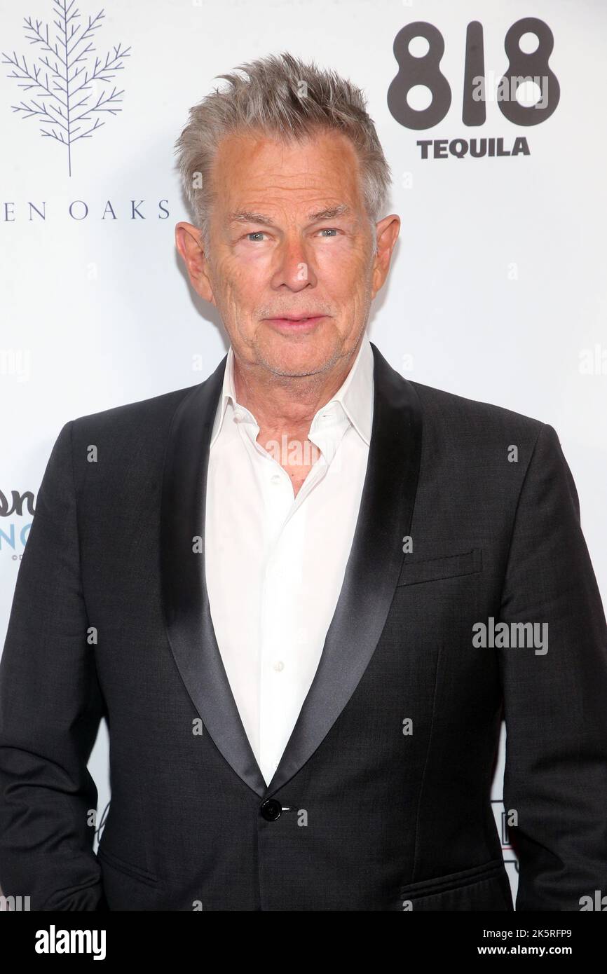 Los Angeles, Ca. 9th Oct, 2022. David Foster at The 7th Annual Imagine Ball presented by Imagine ...