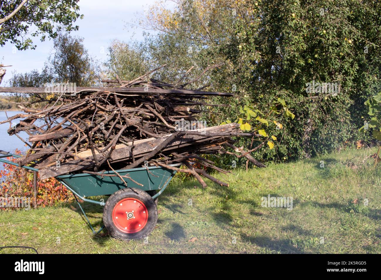 Wheelbarrow full of brushwood in summer, autumn, spring garden. Green ...