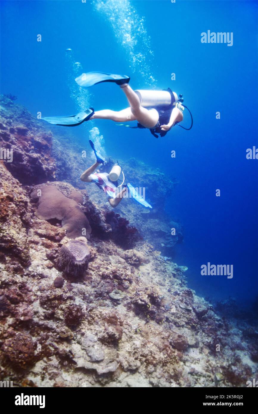Exploring natures depths. Two divers swimming along the edge of a ...