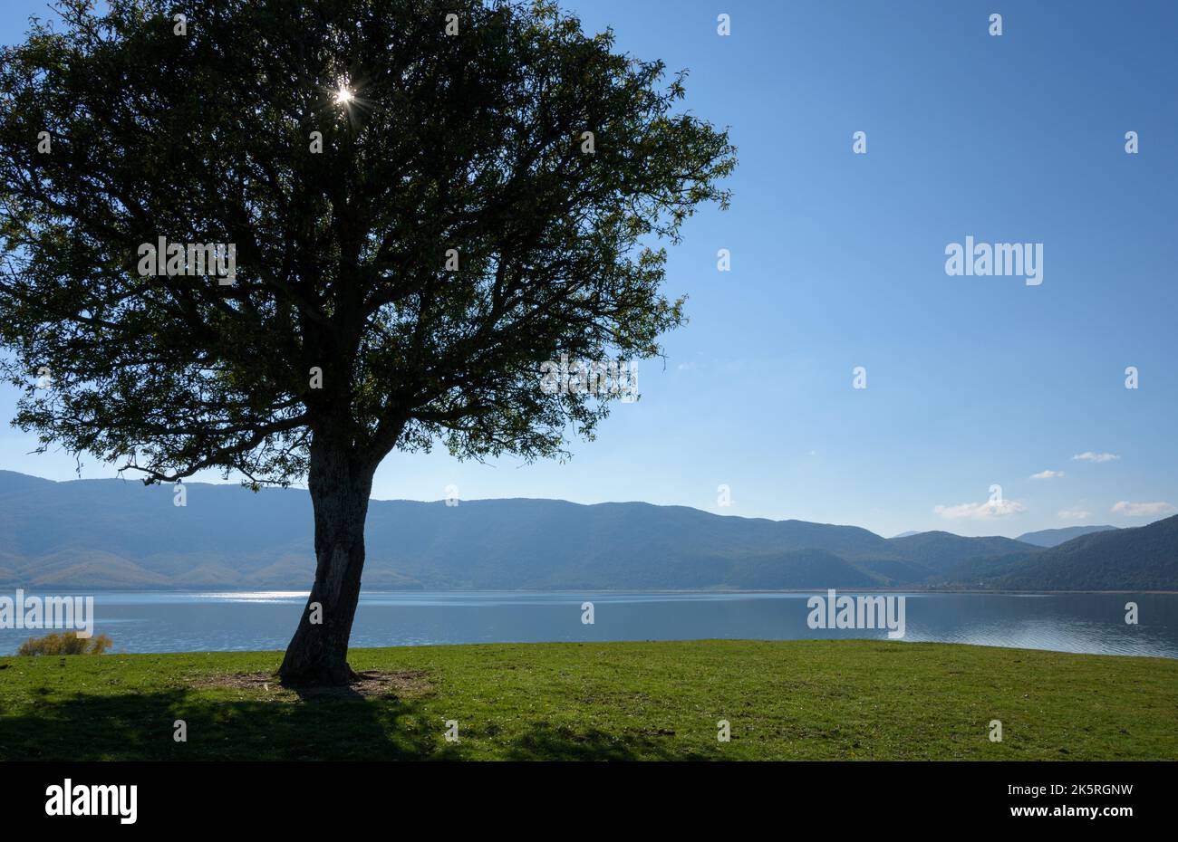 Beautiful scenery with a tree overlooking Lake Prespa from a hill at ...