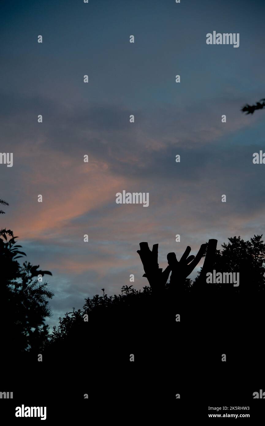 I find clouds fascinating - their endlessly changing shapes and shades ...
