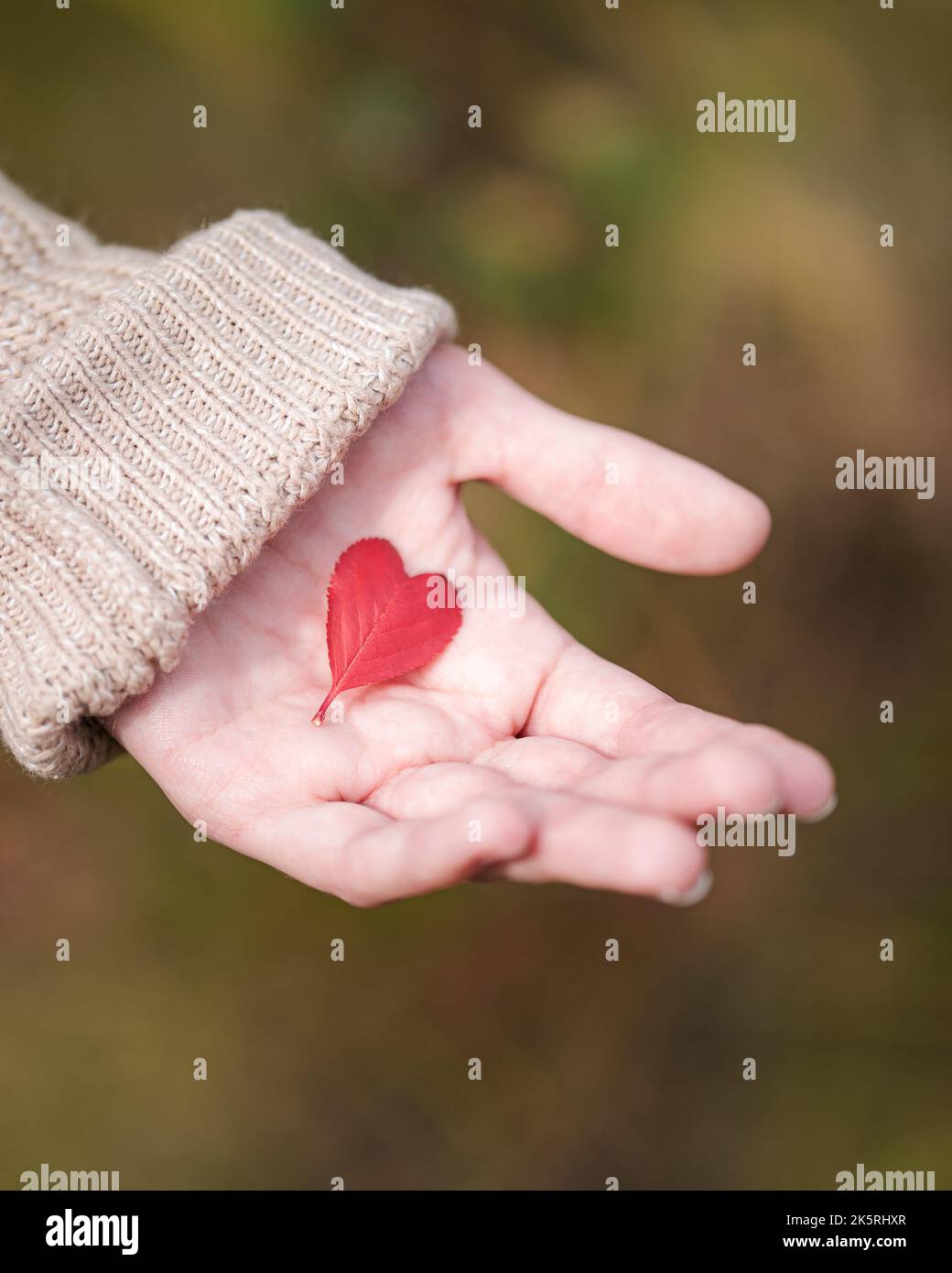 Heart in a fall leaf hi-res stock photography and images - Alamy