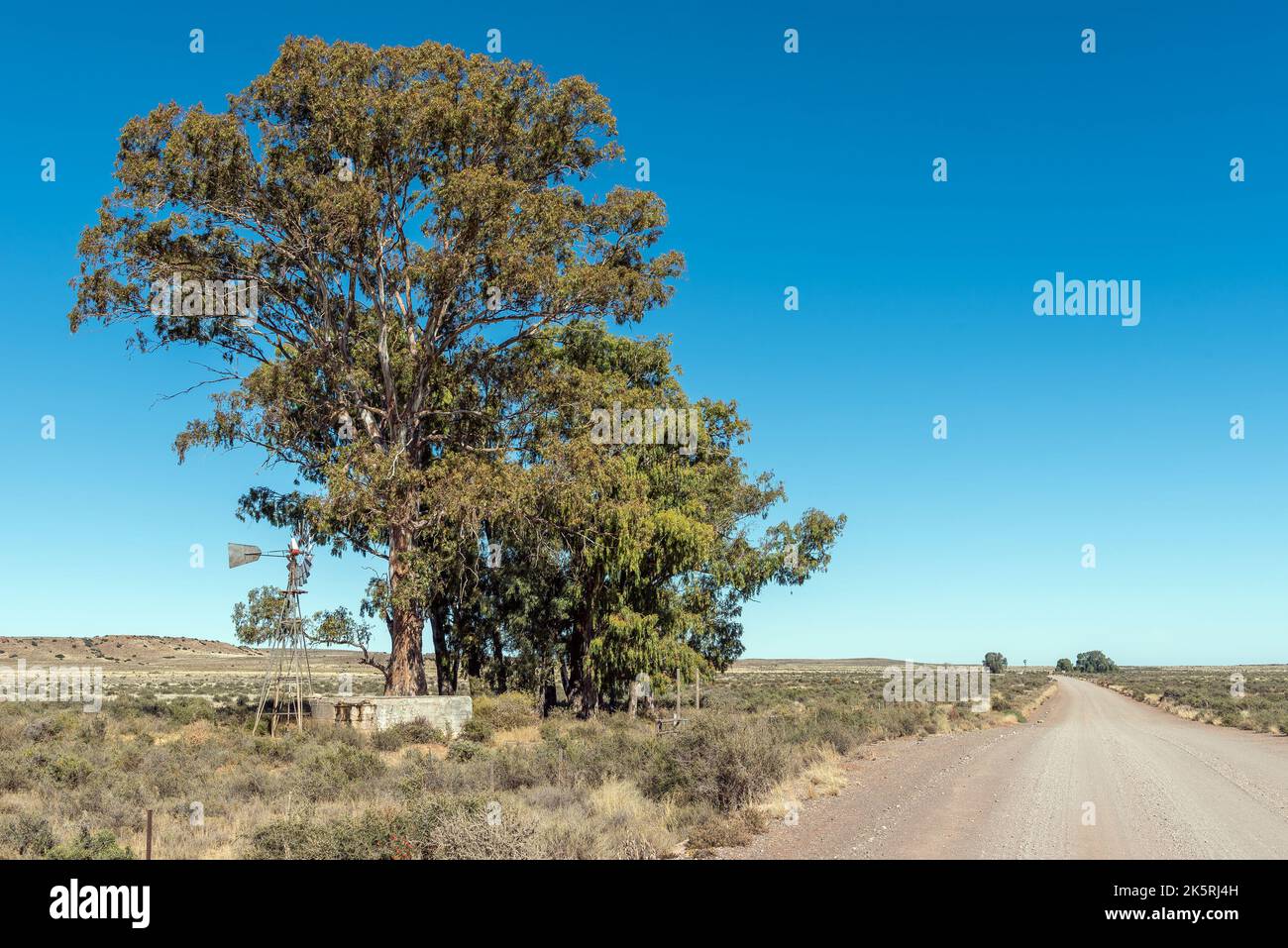 A landscape, with a windmill, dam and large trees, on the road between ...