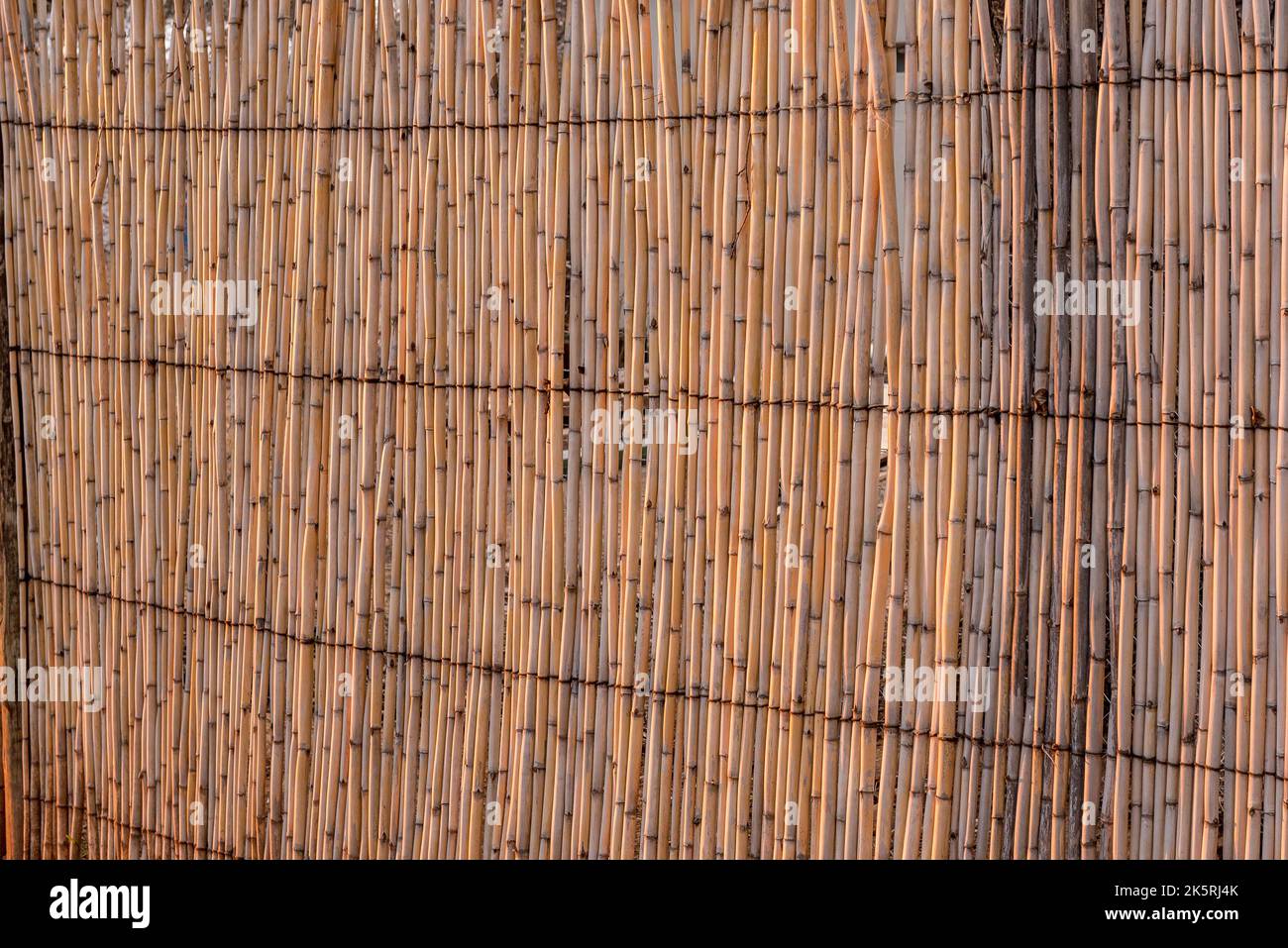 Reed wall hi-res stock photography and images - Alamy