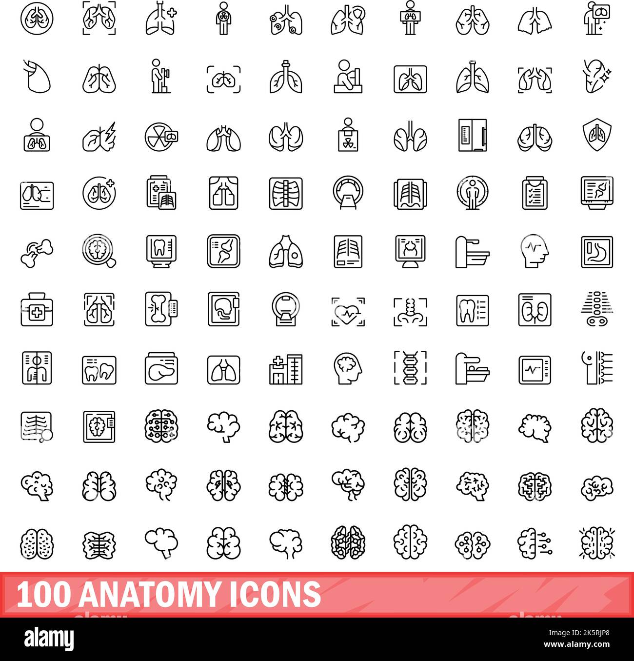 100 anatomy icons set. Outline illustration of 100 anatomy icons vector ...