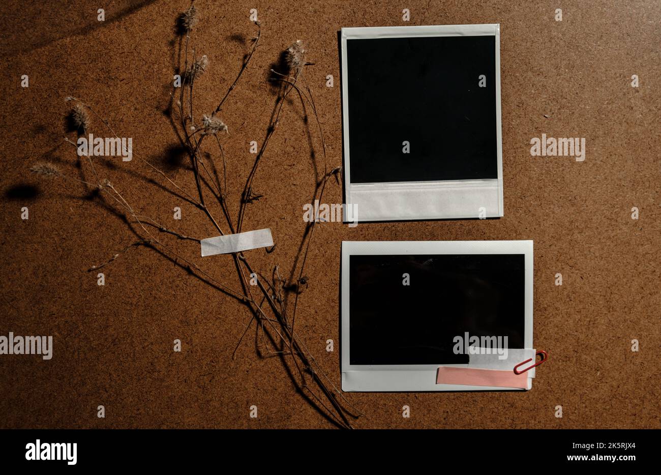 Two blank white cards hi-res stock photography and images - Alamy