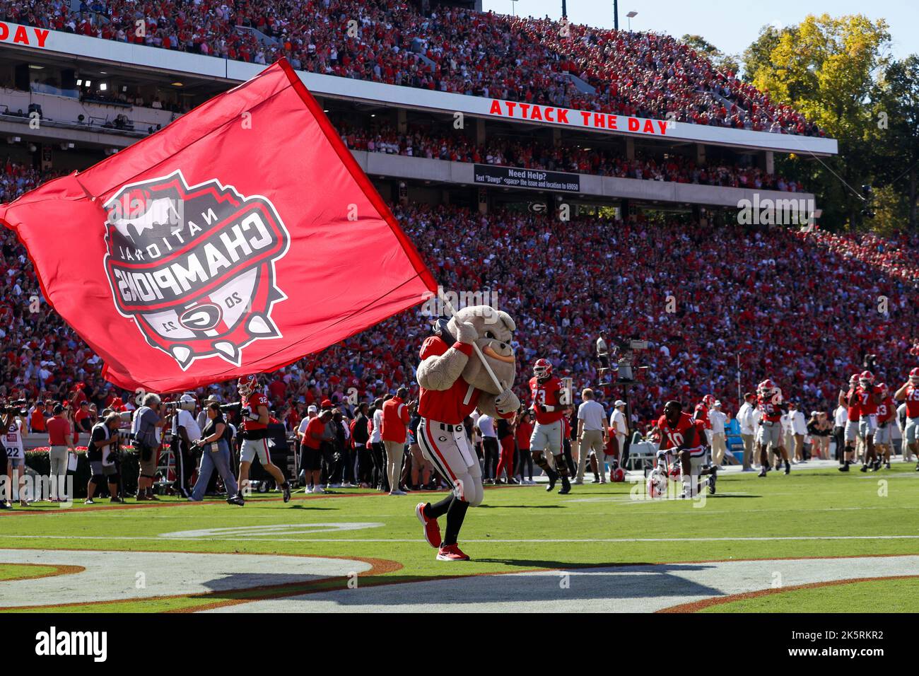 Georgia Bulldogs mascot Hairy Dawg carries a flag on the field prior to ...
