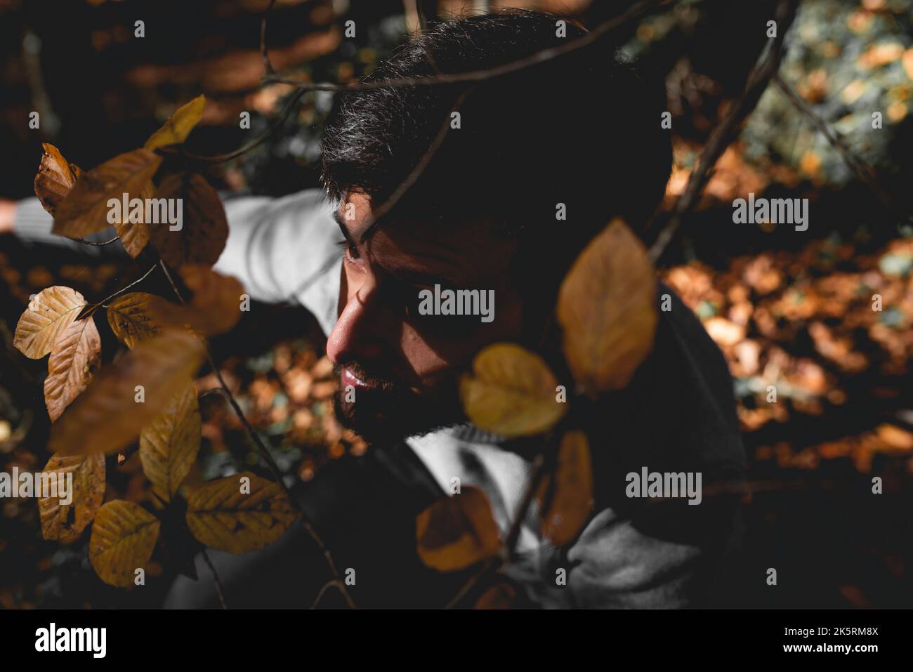 Hidden by the leaves hi-res stock photography and images - Alamy
