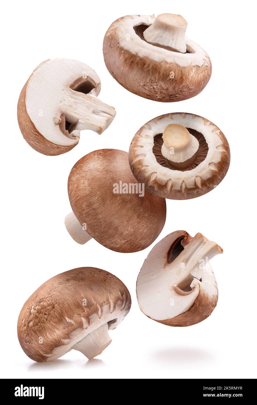 Flying in air champignon mushrooms and champignon mushroom slices ...