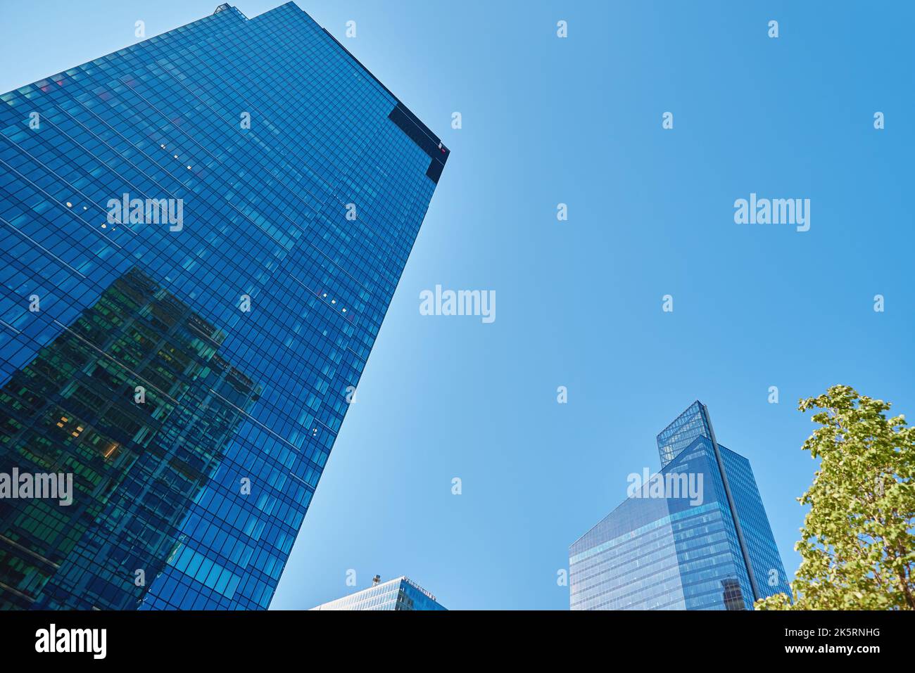 Modern city architecture, Skyscraper glass facade with green tree ...