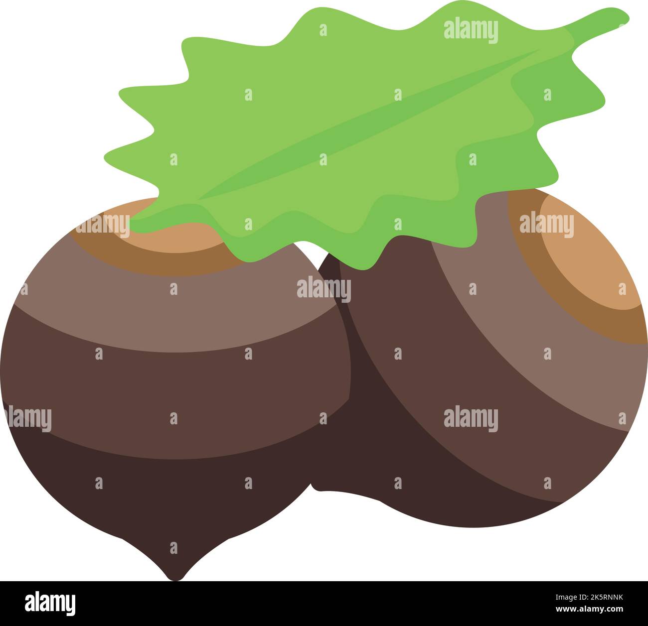 Forest nut icon isometric vector. Dry food. Organic snack Stock Vector ...