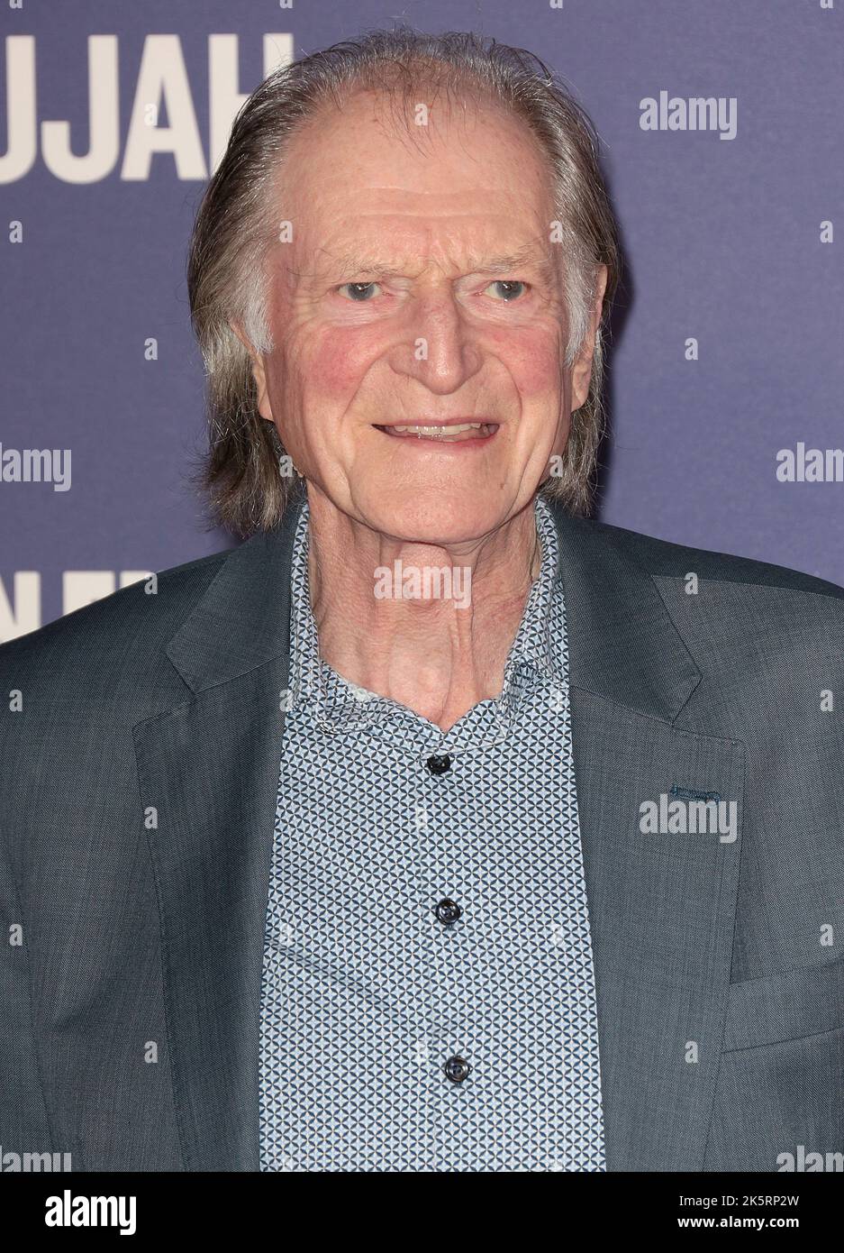 Oct 09, 2022 - London, England, UK - David Bradley attending 66th BFI ...