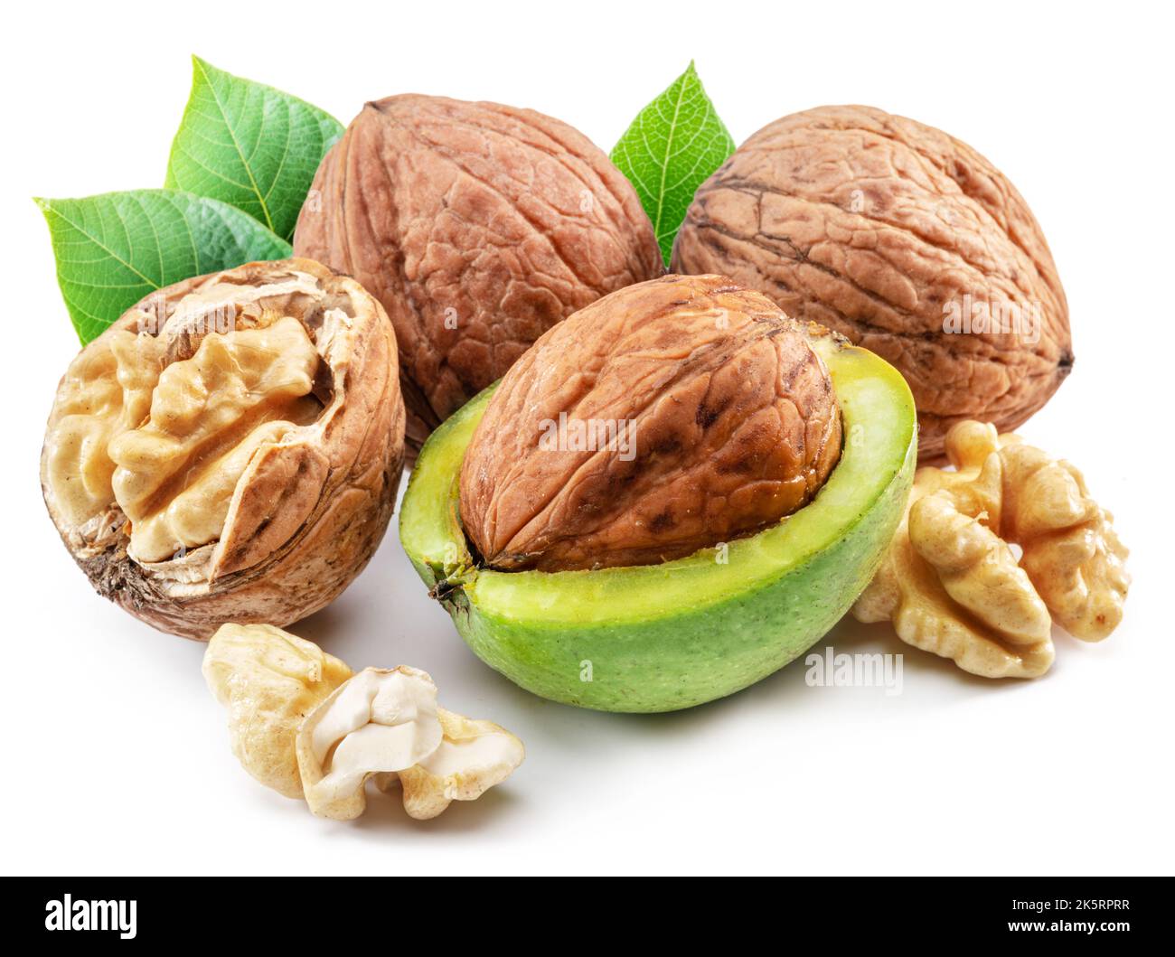 Fresh walnut in green husk, leaves and walnut kernel isolated on white ...