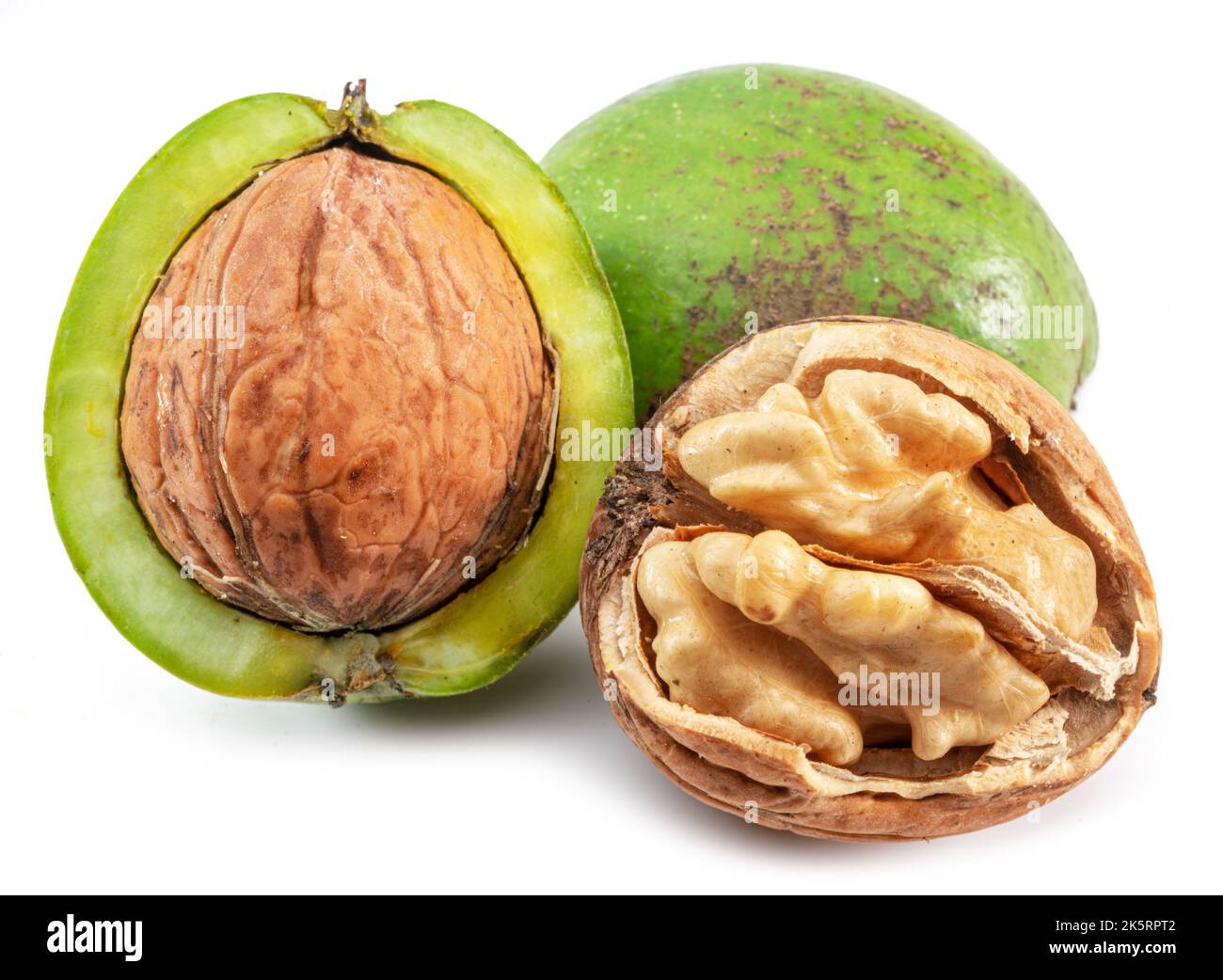 Fresh walnuts in green husk, opened walnut with kernel isolated on ...