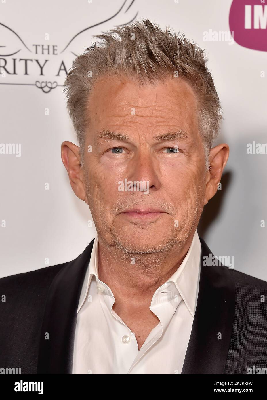 David Foster walking the red carpet at The 7th Annual Imagine Ball ...