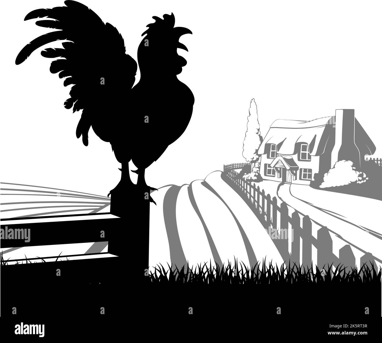 Country rooster Black and White Stock Photos & Images - Alamy