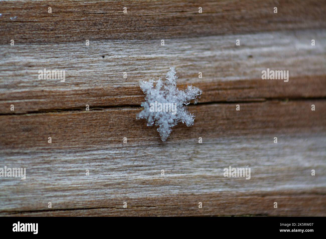 A closeup shot of a snowflake on a wooden surface with blur background ...