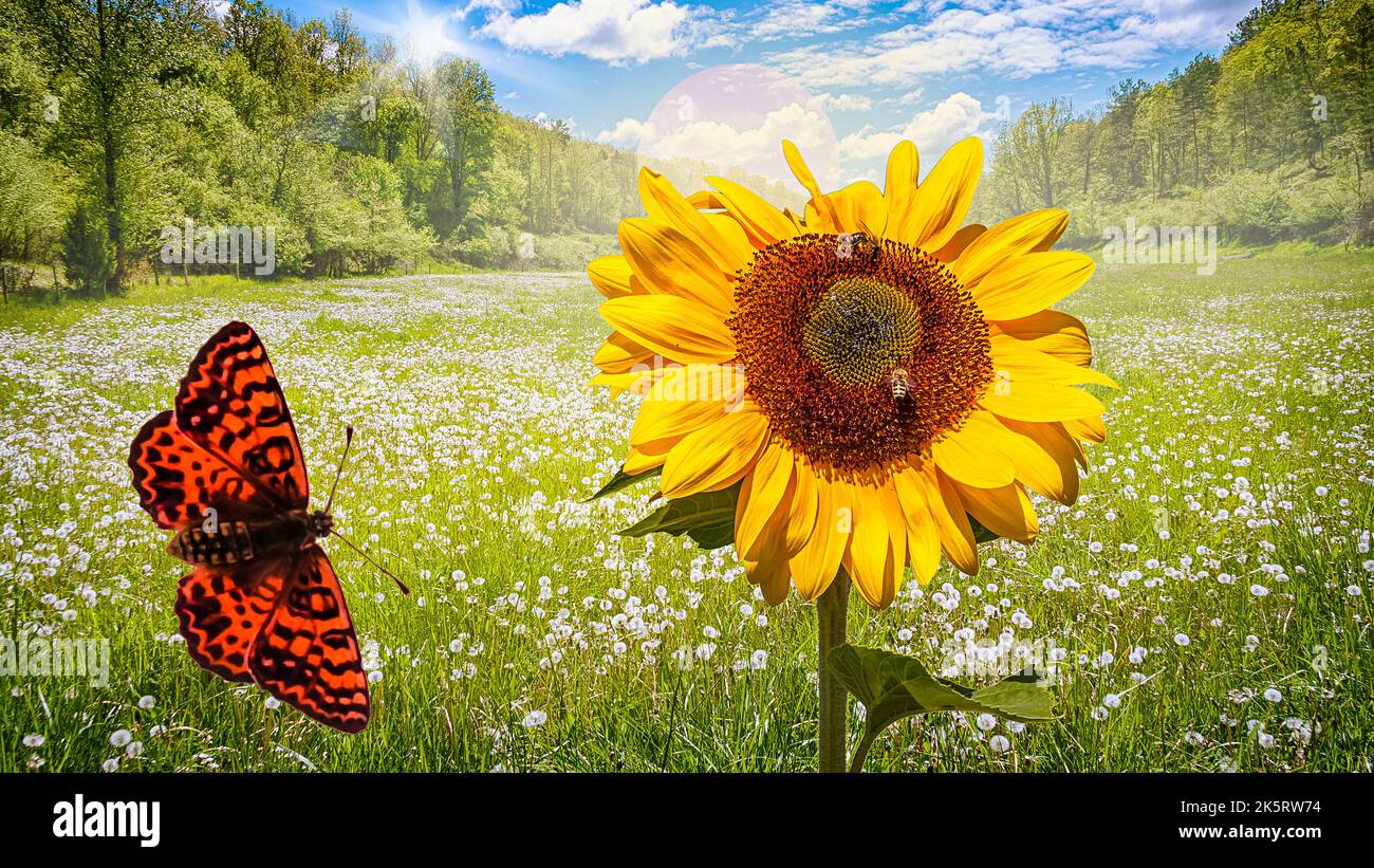 Conceptual Collage Symbolizing the Protection of Biodiversity Stock ...