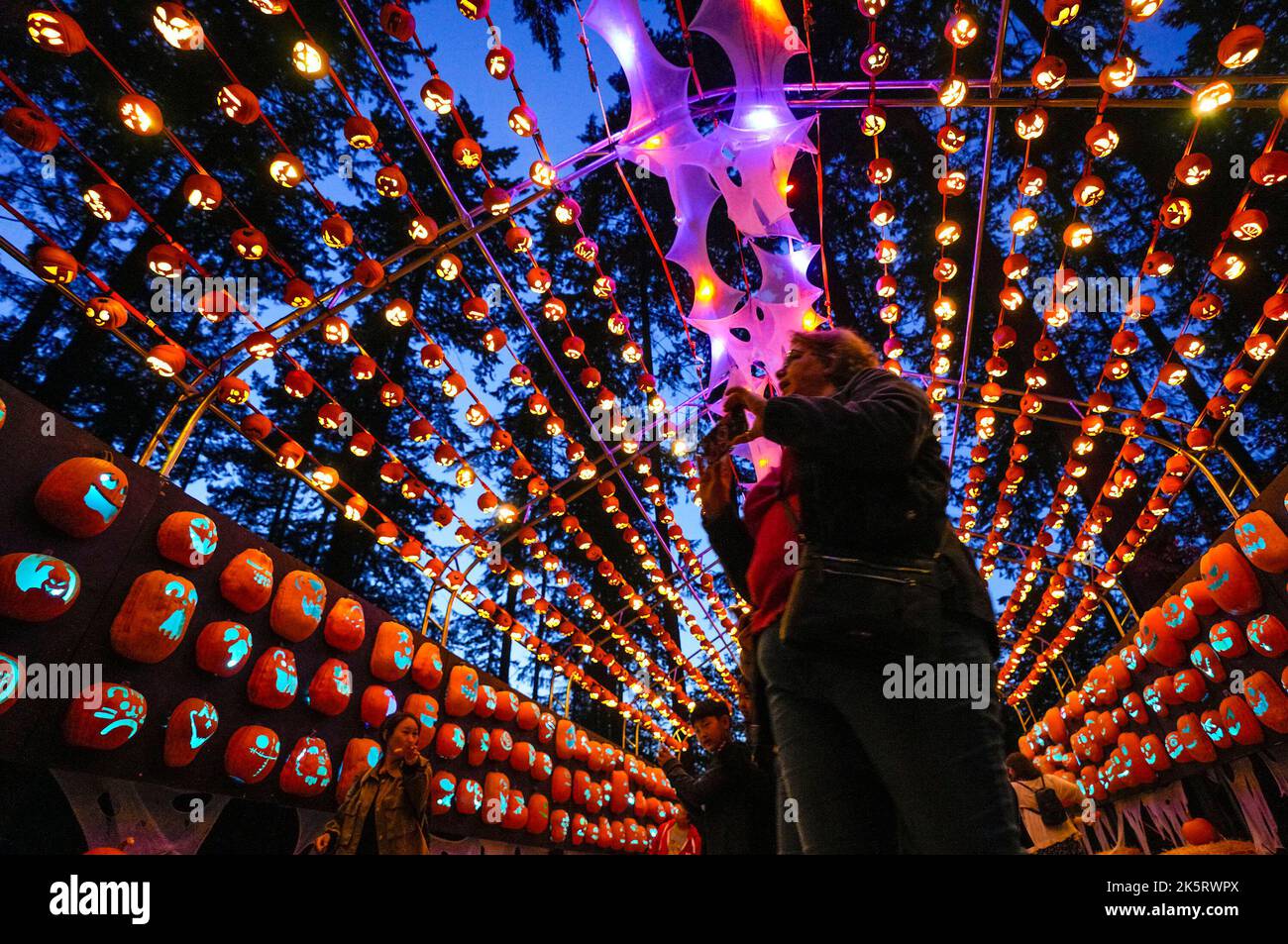 Burnaby, Canada. 9th Oct, 2022. People walk through an illuminated pumpkin tunnel at the ...
