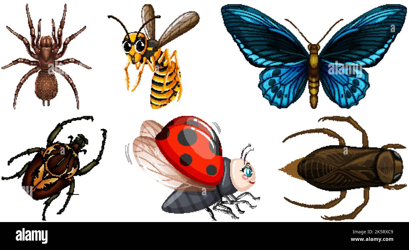 Set of different kinds of insects illustration Stock Vector Image & Art ...