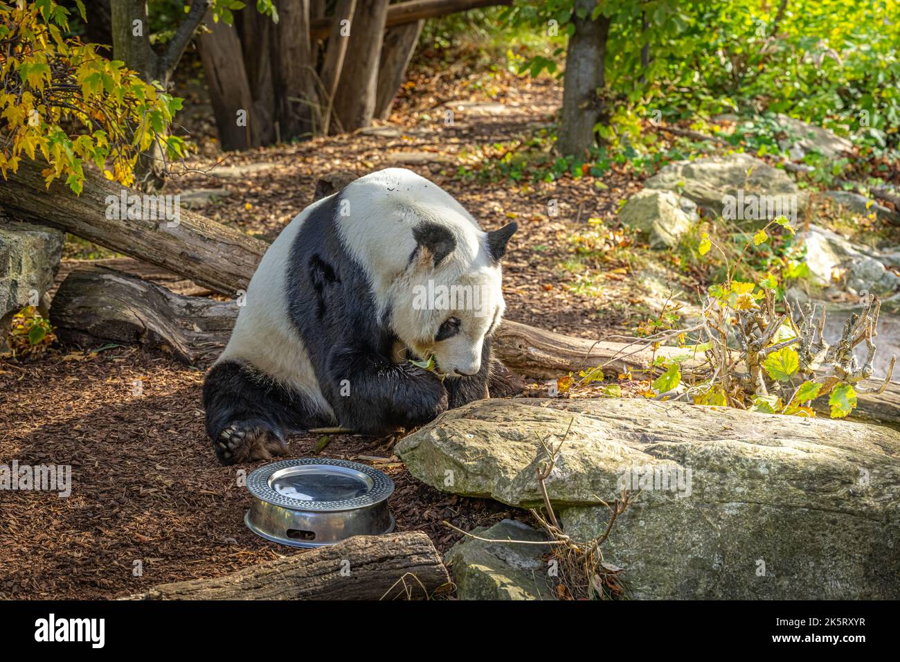 Schoenbrunn Zoo in the park of Schönbrunn Palace in Vienna's 13th ...