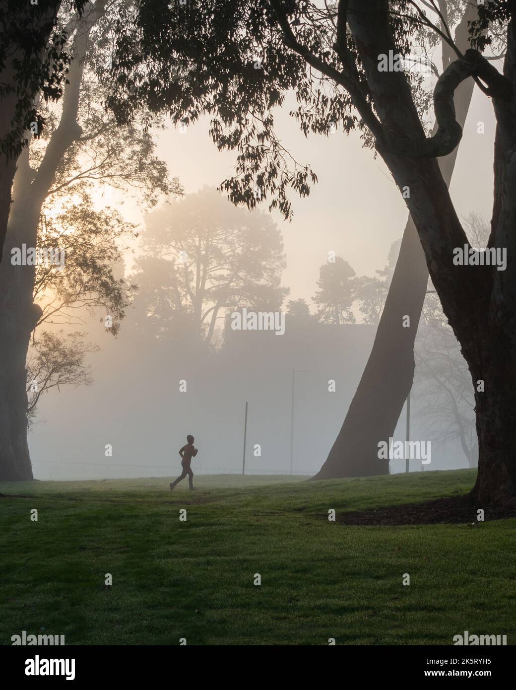 Lifestyles vertical hi-res stock photography and images - Alamy