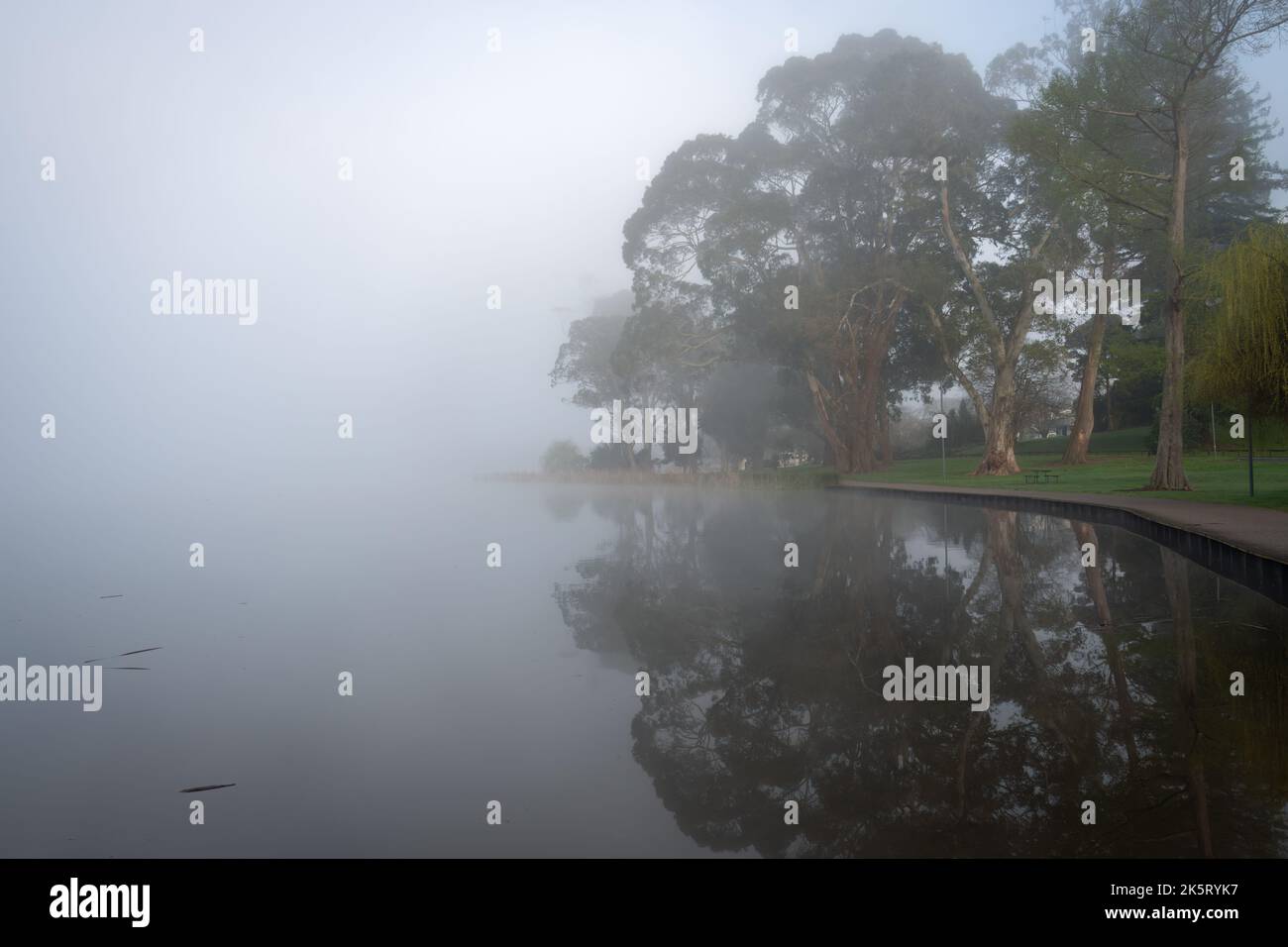 Fog drifting over Hamilton lake (also known as Lake Rotoroa), Hamilton ...
